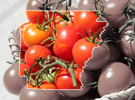 Arkansas Cooperative Extension Service | University of Arkansas System ...