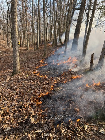 Prescribed Burner Course