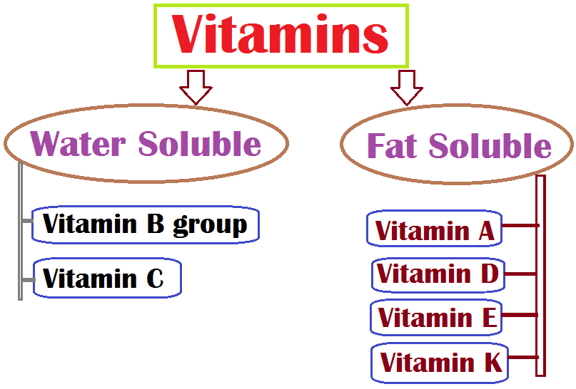 Fruits And Vegetables Important Sources Of Nutrients And Vitamins