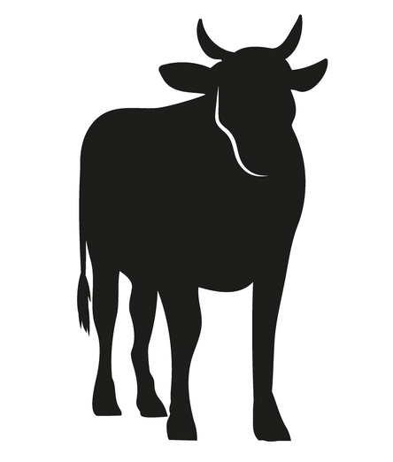 Beef Cattle Production Record Keeping