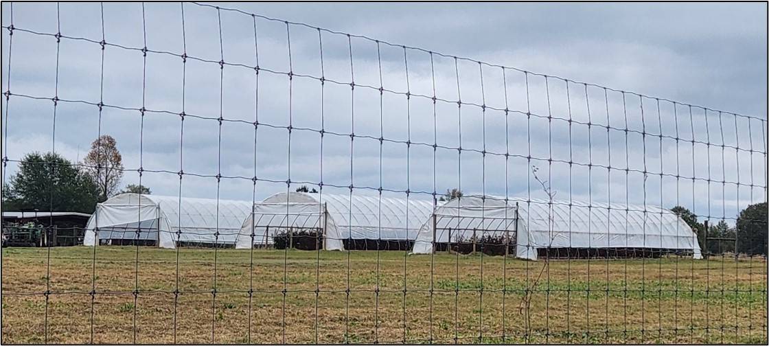 High Tunnel Specialty Crop Production in Arkansas